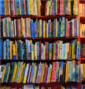 I See Sam Books: Fun-Filled Stories Lead to Phonics Success